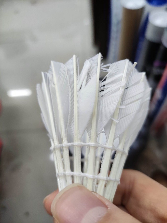 Microcone (microcone) - 路过图床