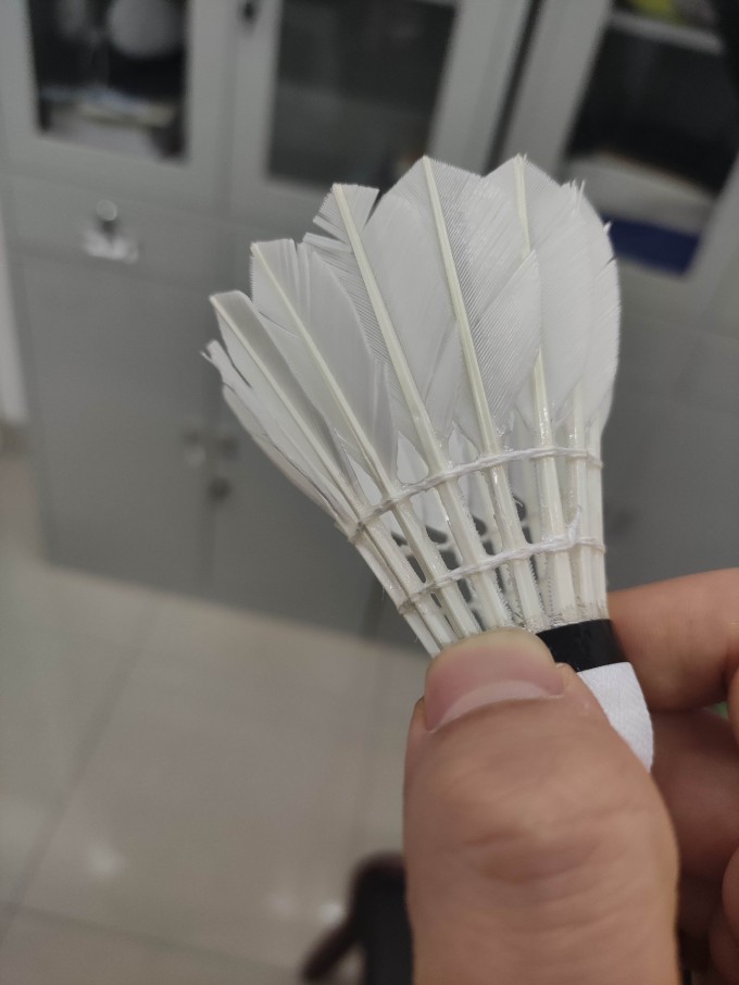 Microcone (microcone) - 路过图床